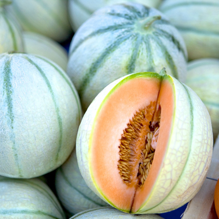 China's Flora Tour: Hami melon, a special tribute to the emperor - CGTN