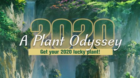 A marvellous plant odyssey from 0 to 5000 meters - CGTN
