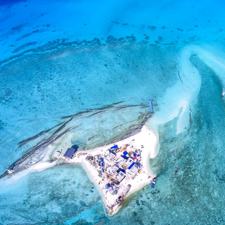 Coral reef ecosystem of Xisha Islands remains healthy: gov't report - CGTN