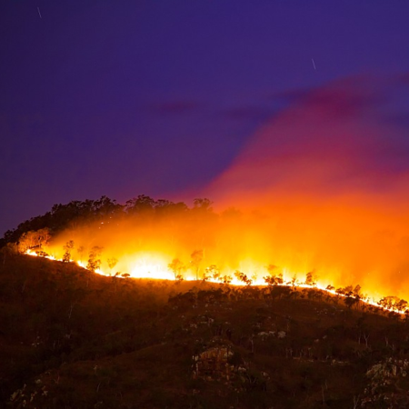 Australian environment getting 'worse and worse' every year: study - CGTN