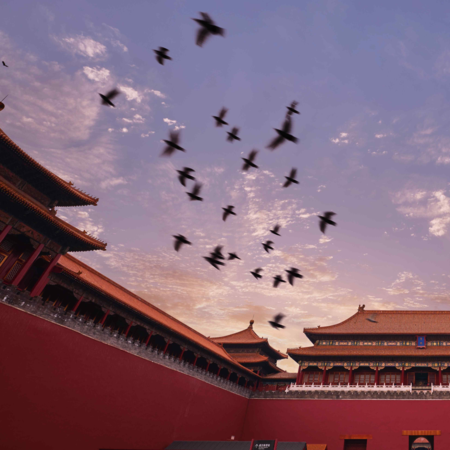 Over 1.5 million migratory birds travel to Beijing - CGTN