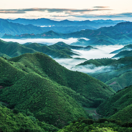 China improves ecological quality of vegetation 2000-2019: report - CGTN