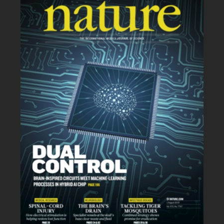 Chinese scientists develop world's first hybrid AI chip - CGTN