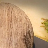 The double coconut: The rare-shaped plant from Seychelles - CGTN