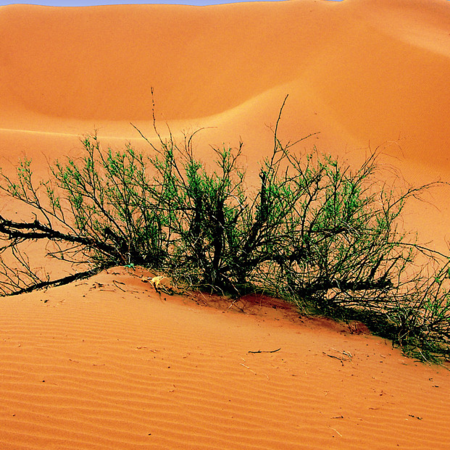Tengger Desert: One of the largest deserts in China - CGTN