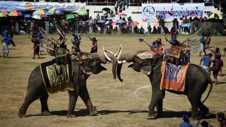 Elephants reenact ancient battle scene in Thailand - CGTN