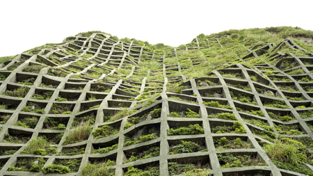 Scientists create living brick with sand, bacteria - CGTN