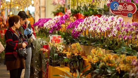 Live: Celebrate Spring Festival in Guangzhou's oldest flower market - CGTN