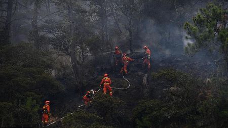 Firefighters work to extinguish forest fire in Tibet - CGTN