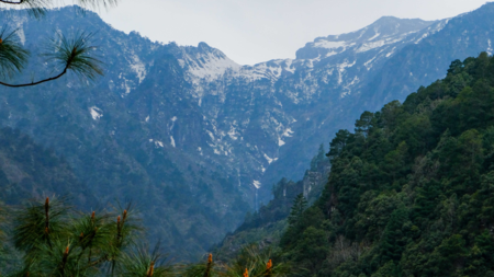 The arrival of spring deep in the valley - CGTN