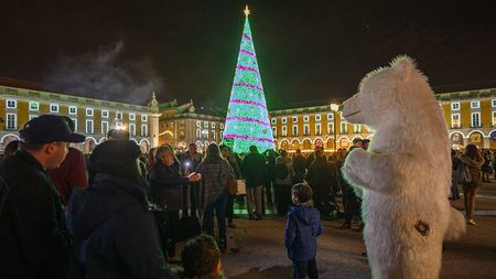 Giant Christmas tree lit up in Portugal's capital - CGTN