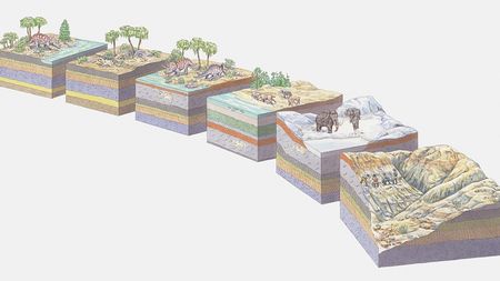 Fossil research in China shows evidence of Ordovician mass extinction ...