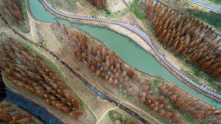 Baima Lake Forest Park with different maples - CGTN
