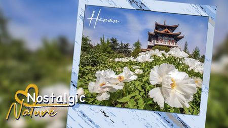 Nostalgic nature: Henan, far more than heritages - CGTN