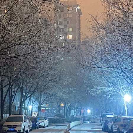 Cold wave brings first snowfall of 2020 in northern China - CGTN