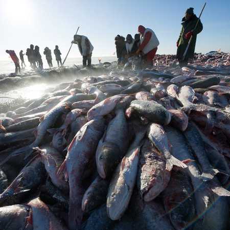 Live: Watch 2,000-year-old ice fishing in China's Chagan Lake - CGTN