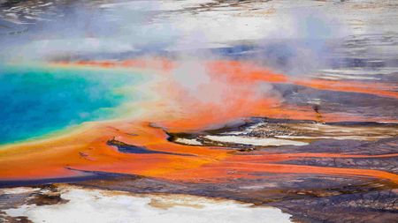 What microbe lives inside a boiling hot spring? - CGTN