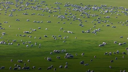 The Eyes of the Mongolian Plateau | Hulun Lake: Ecological functions - CGTN
