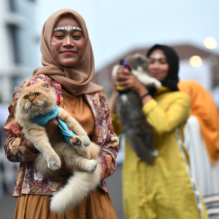 Pets and their owners make a fashion debut at Indonesian carnival - CGTN