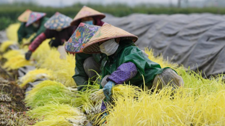 Live: Briefing on ensuring agricultural production and supply in China ...