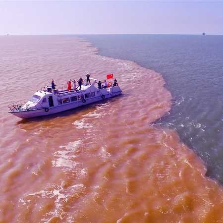 Live: How Yellow River carries sand to form new land by estuary - CGTN