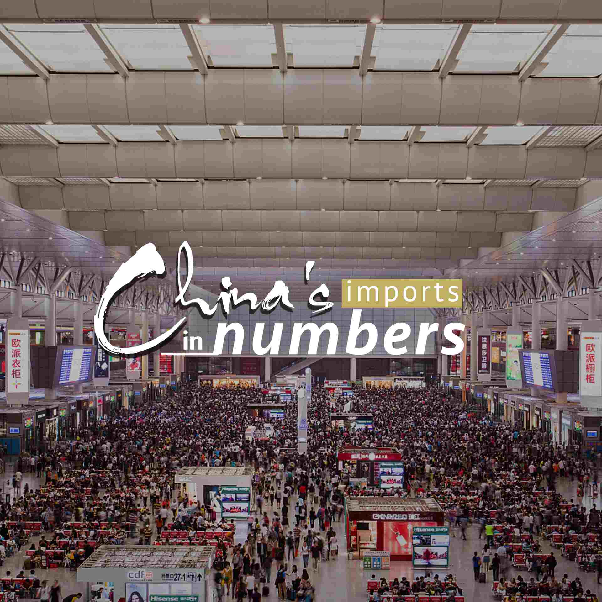 Categories of China's imported goods and services - CGTN