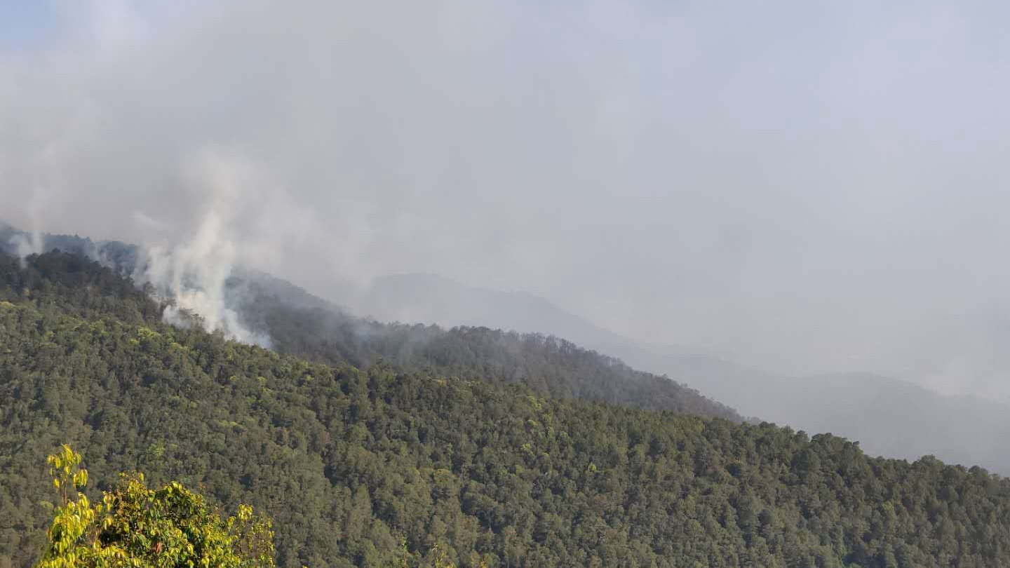 Forest fire continues to rage in SW China - CGTN