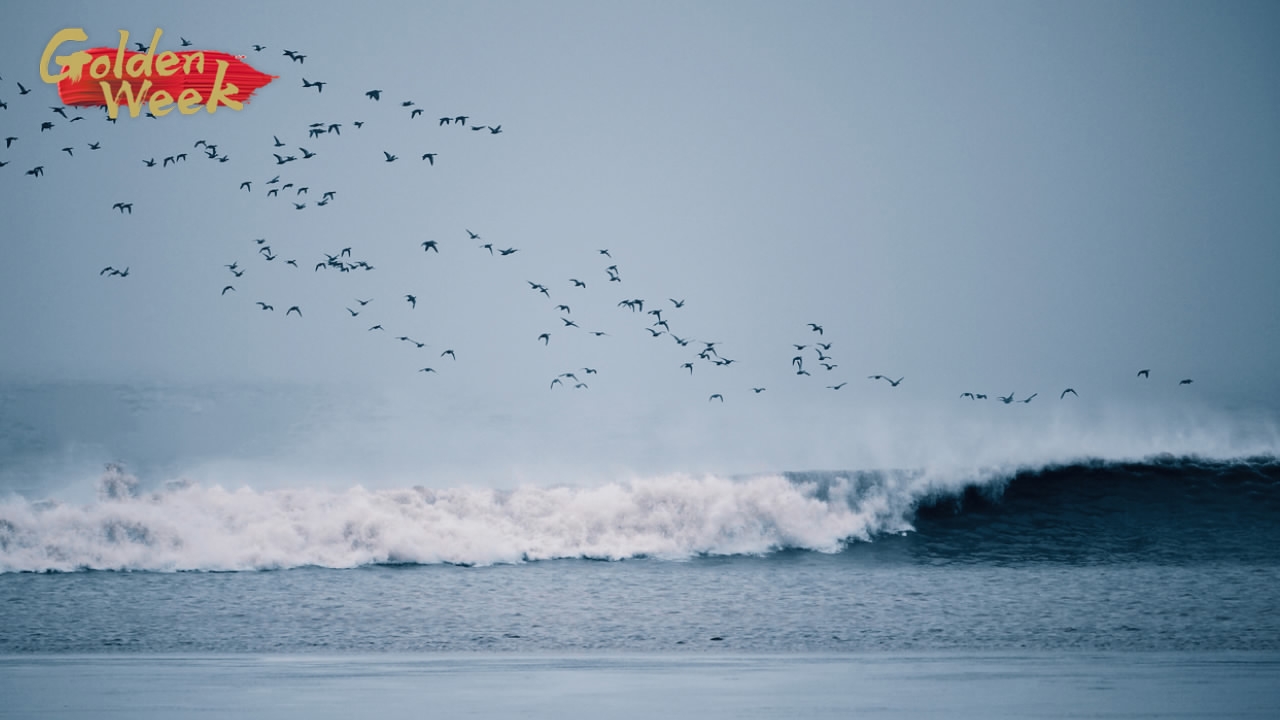 Live: Monster tidal waves sweeping down Qiantang River - CGTN