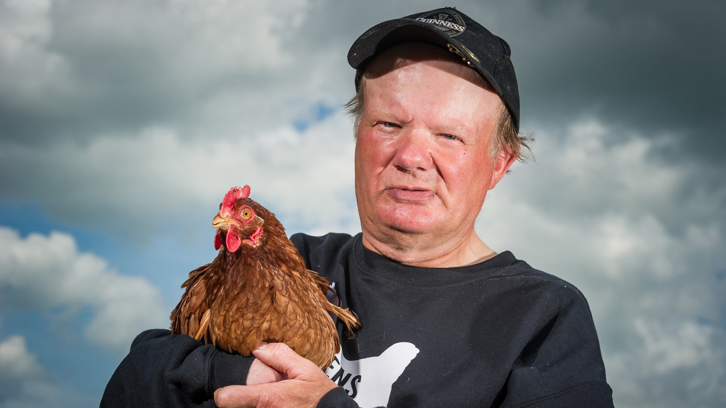 Performing poultry: Chicken lover teaches feathered friends impressive ...