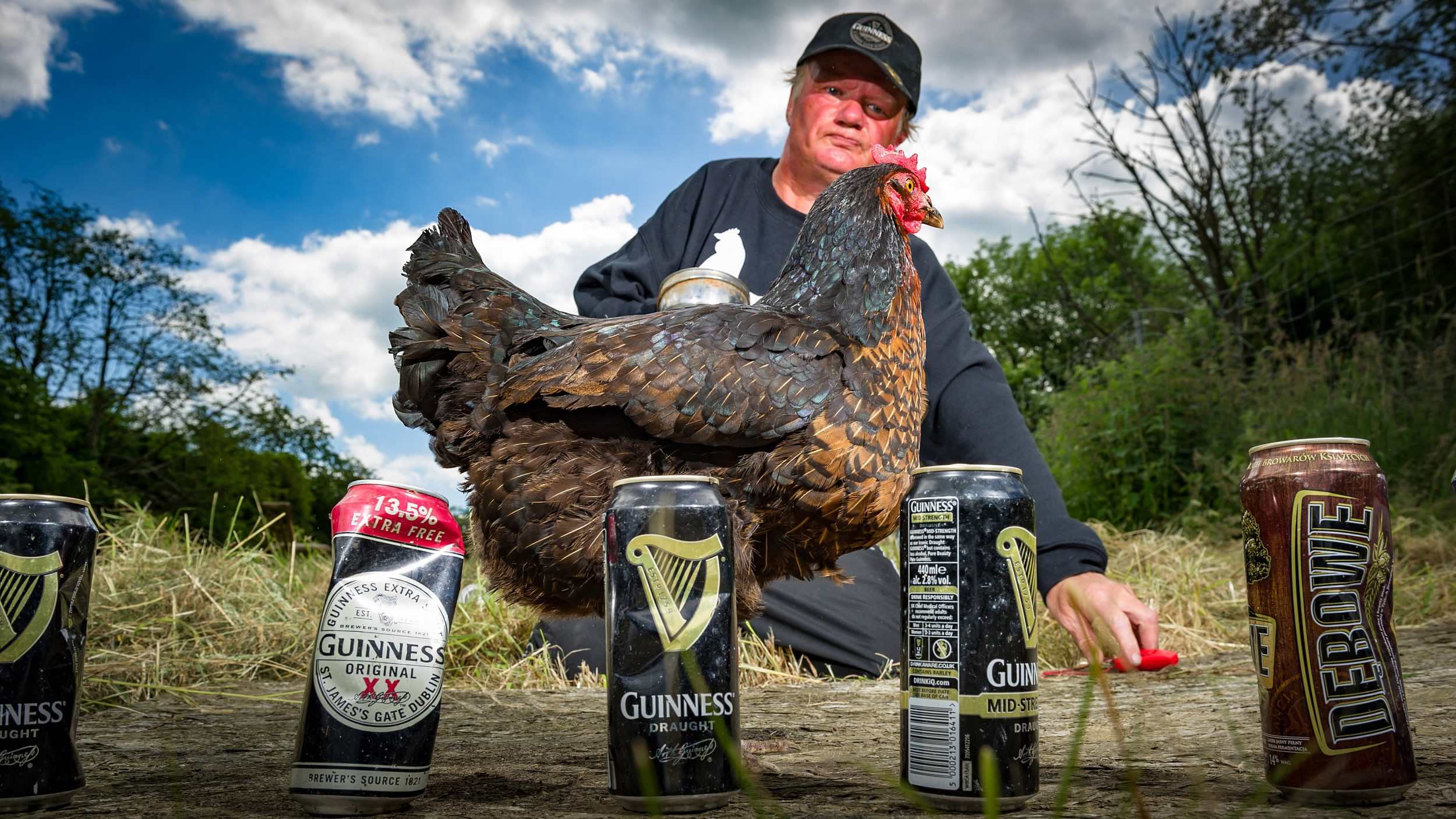 Performing poultry: Chicken lover teaches feathered friends impressive ...