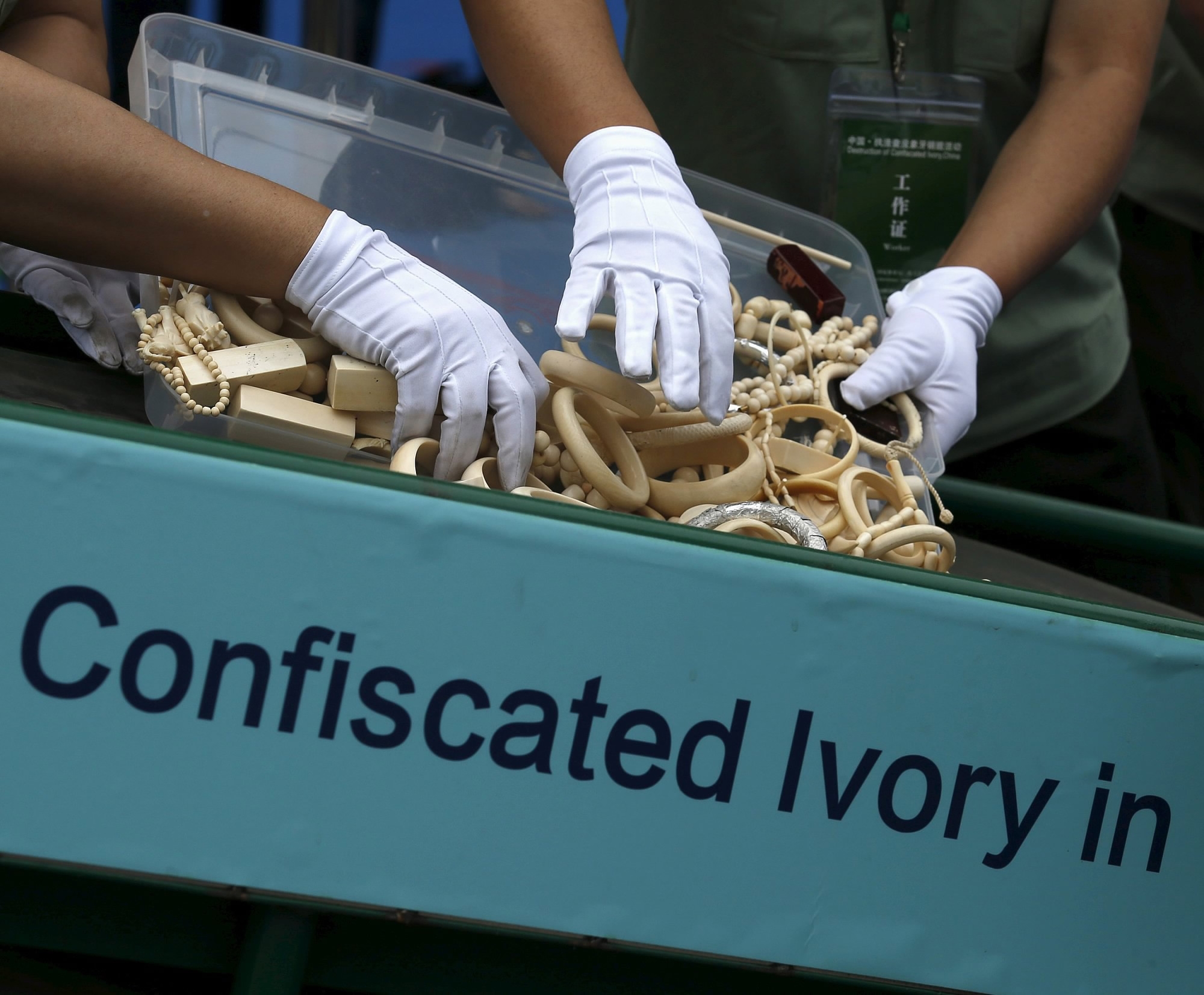 UN environment chief lauds China for banning ivory trade - CGTN