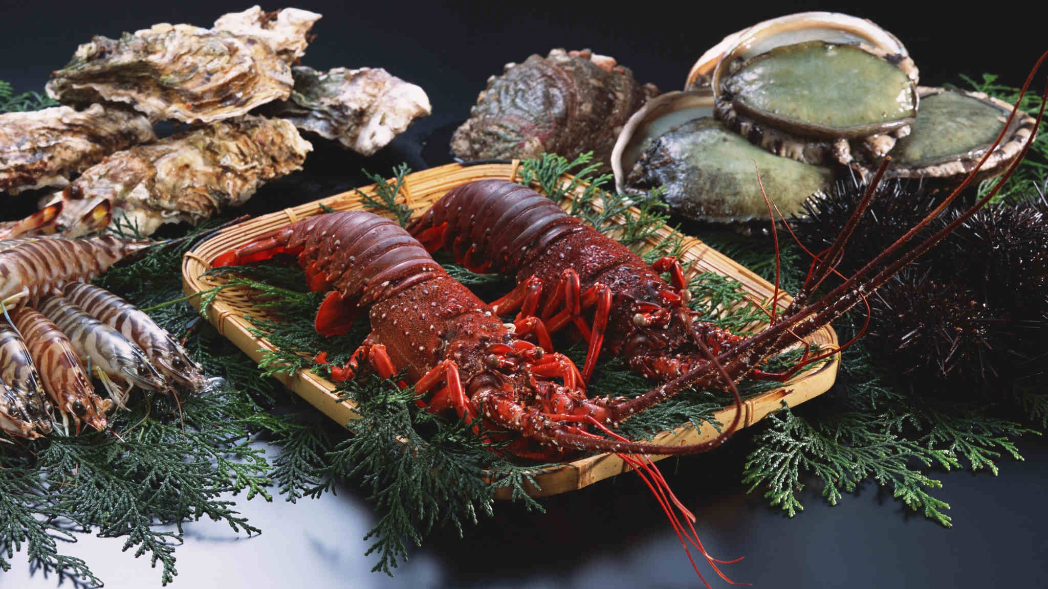 Hard evidence! Natural substance from crustacean shells bulwark against ...