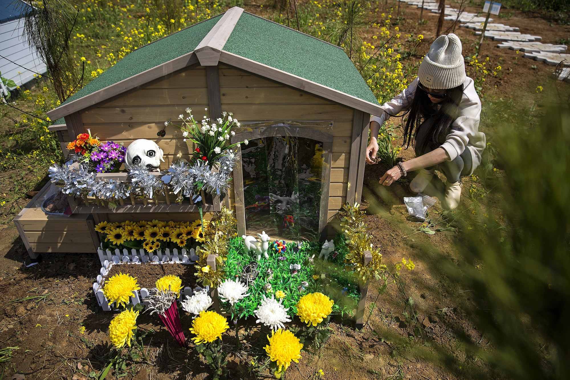 The rise of pet burials in China - CGTN