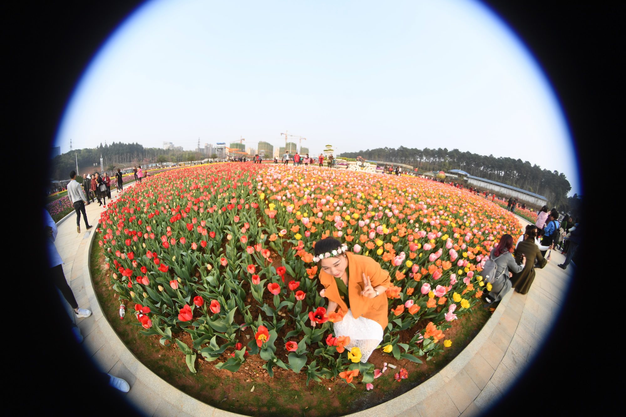 Flowers inside a flower: Chinese garden gives visitors visual ...