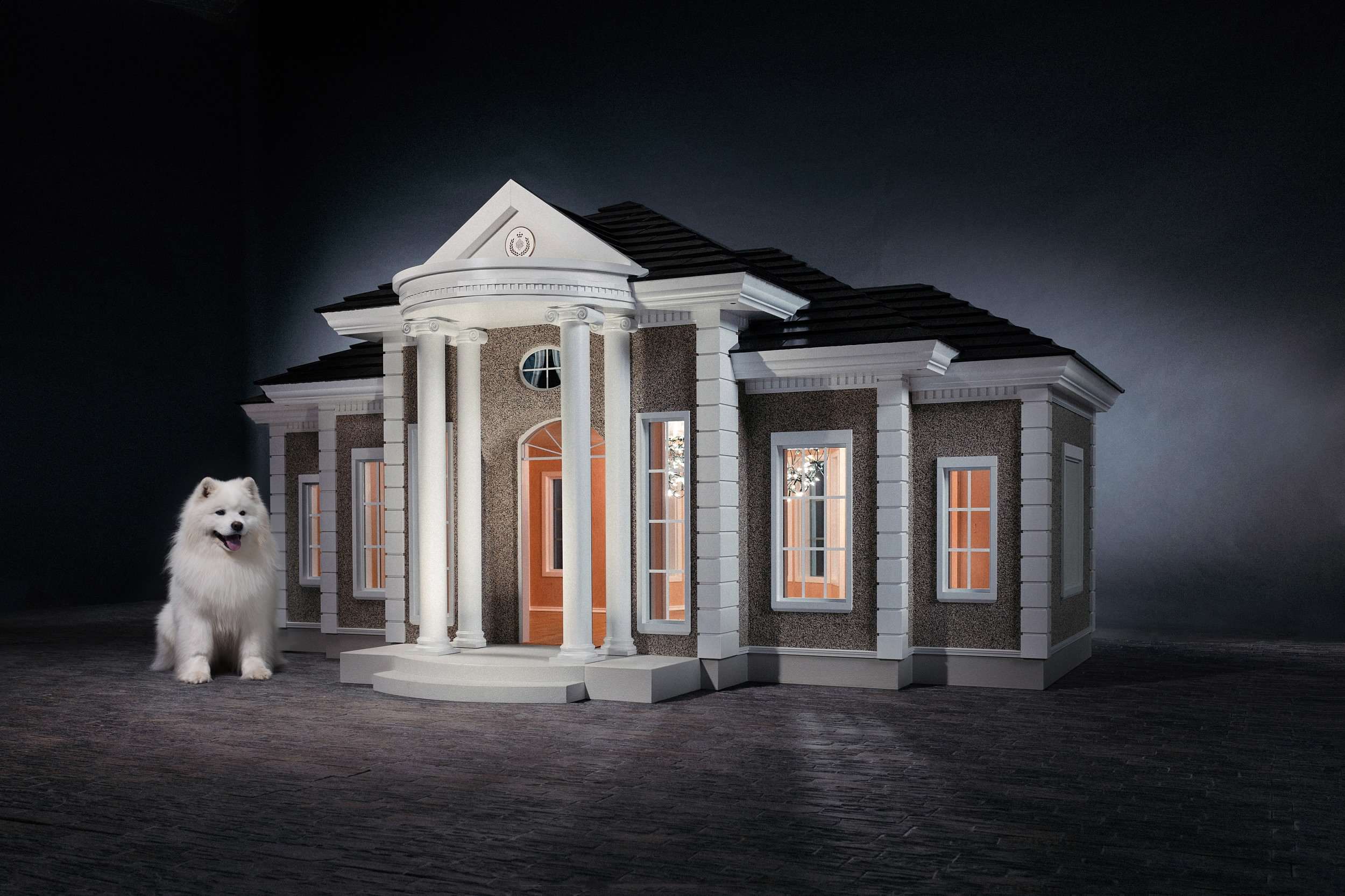 It's a dog's life: Luxury homes for man's best friend - CGTN