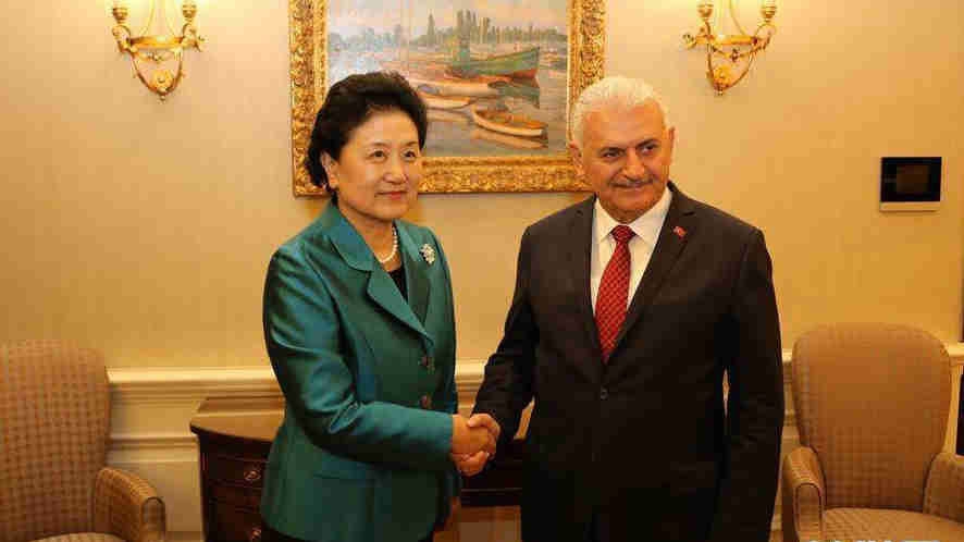 China, Turkey pledge further cooperation on Belt and Road and fighting ...