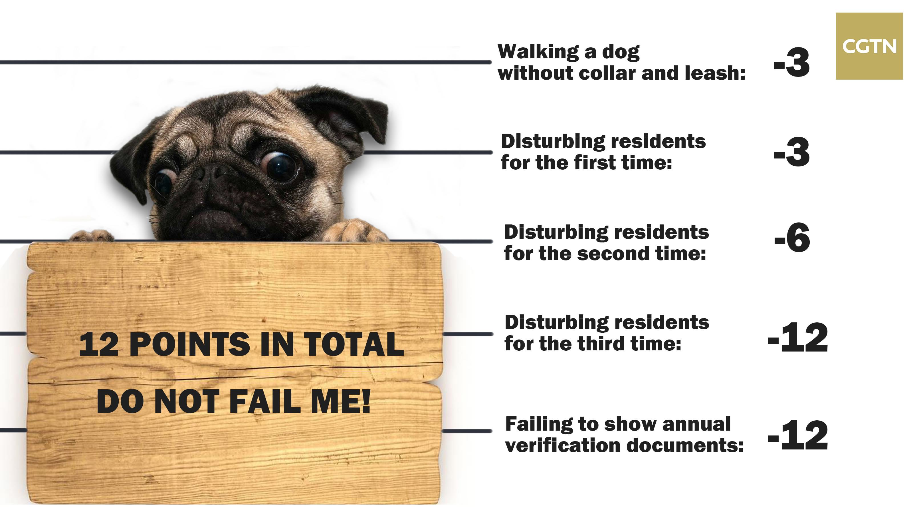 New measures to keep careless dog owners on a short leash in east China ...