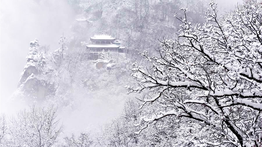 Rare snow and rainfall creates stunning scenery in NW China - CGTN