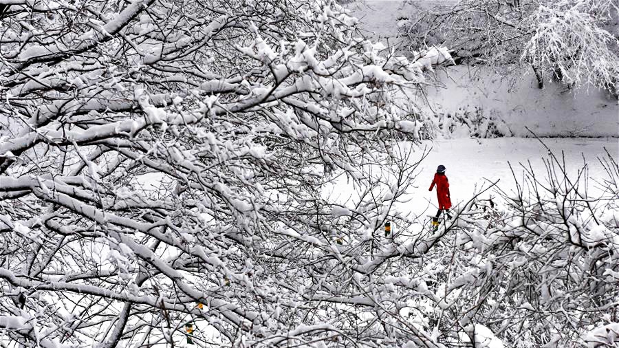 Rare snow and rainfall creates stunning scenery in NW China - CGTN