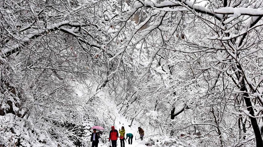 Rare snow and rainfall creates stunning scenery in NW China - CGTN