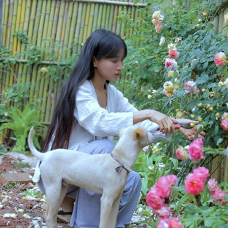 Chinese rural vlogger gains fame both in China and abroad - CGTN