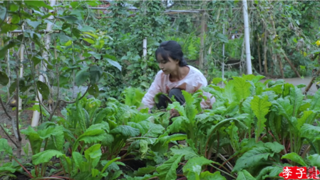 Chinese rural vlogger gains fame both in China and abroad - CGTN