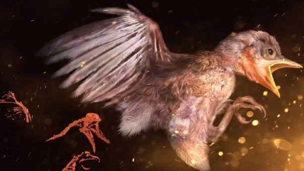Researchers discover amber holding most completely preserved bird - CGTN