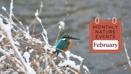 3 special days in Feb. you should not miss as a nature lover - CGTN