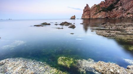 One billion-year-old green seaweed fossils found in China - CGTN