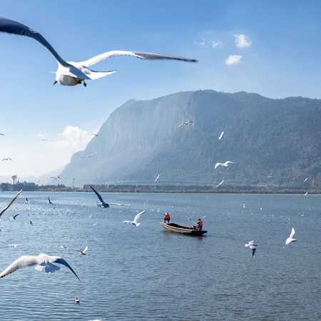 World Migratory Bird Day: Birds connect our world - CGTN