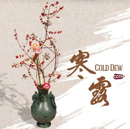 The Culture of Cold Dew: A Parting of the Fall with Flowers - CGTN