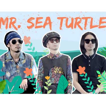 Mr. Sea Turtle: We want to express ourselves with clarity in our music ...