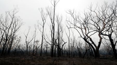 Smoke stalls rescues as Australia plans for next fiery onslaught - CGTN