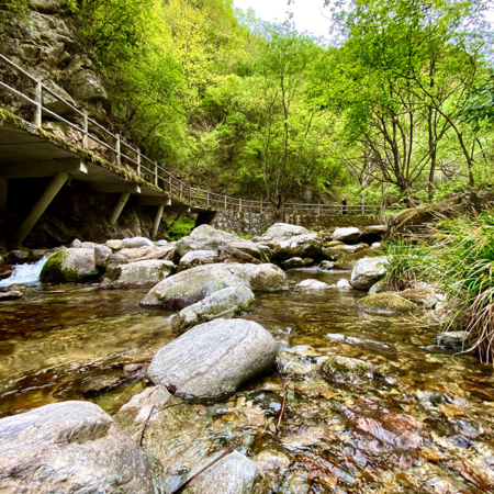 Qinling Mountains: The central park of China - CGTN
